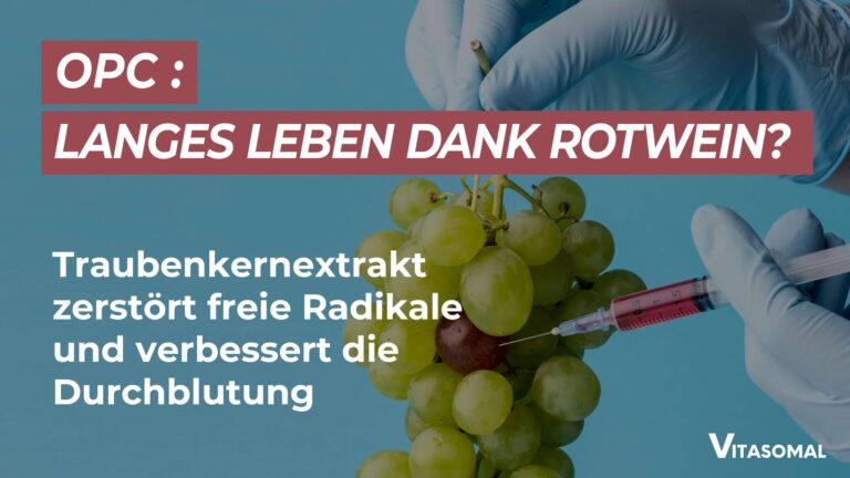 OPC - die geniale Wirkung des Traubenkernextrakts