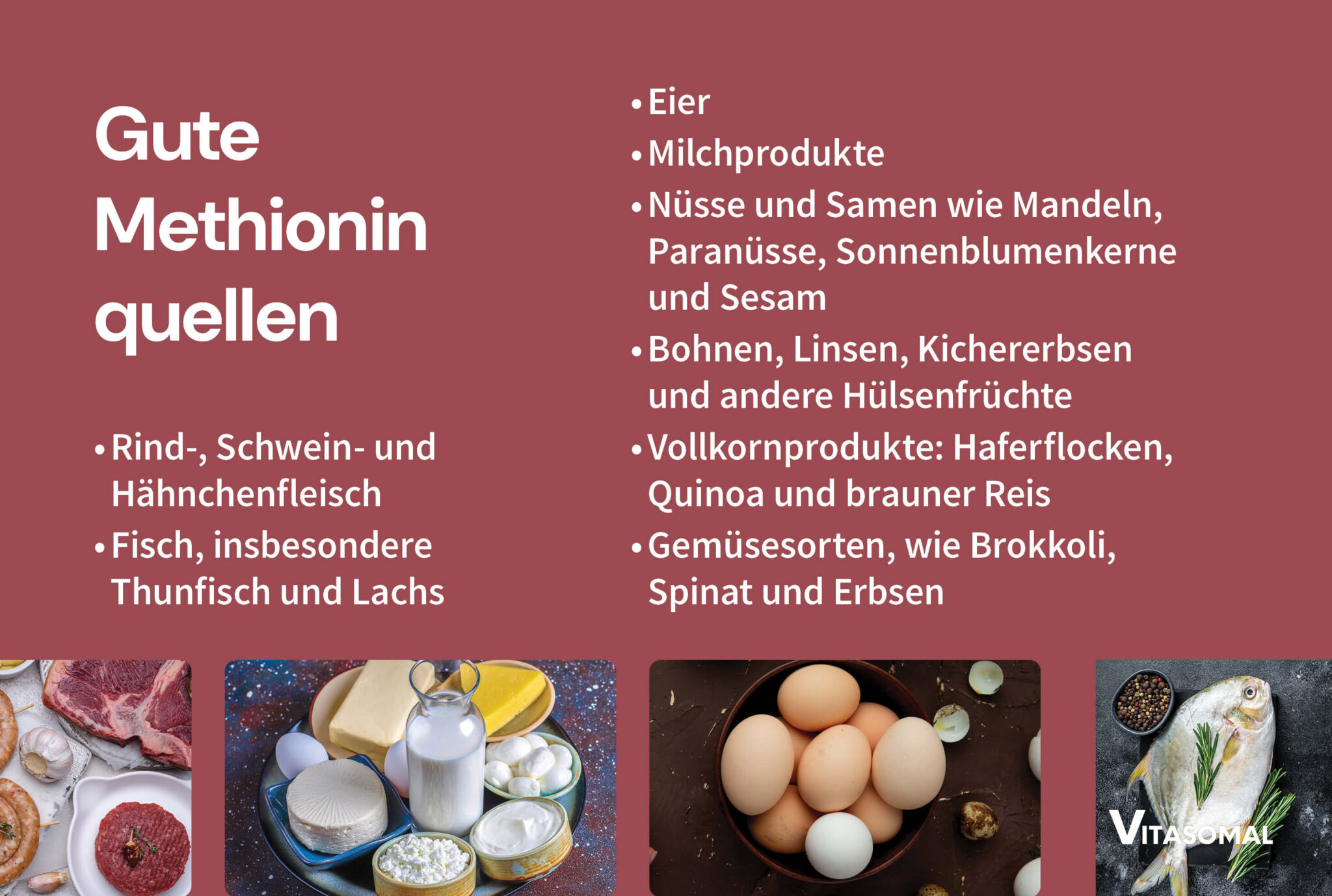 Methionin: Wirkung, Mangel und die richtige Einnahme