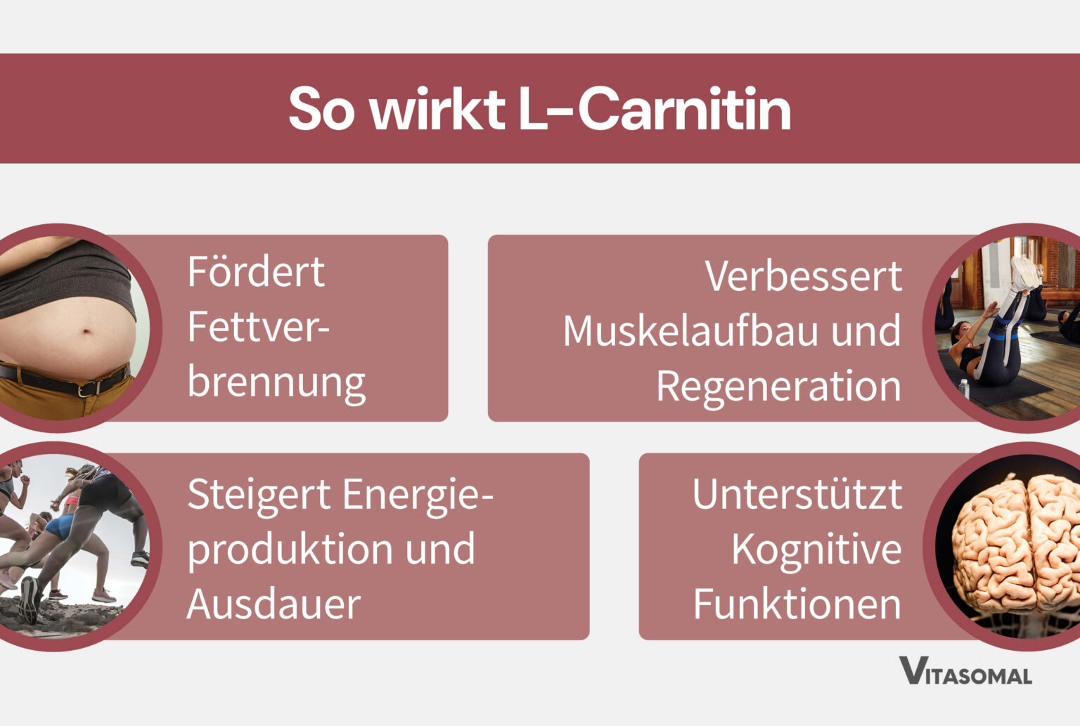 L-Carnitin: Wirkung, Dosierung & Tipps zur Fettverbrennung!