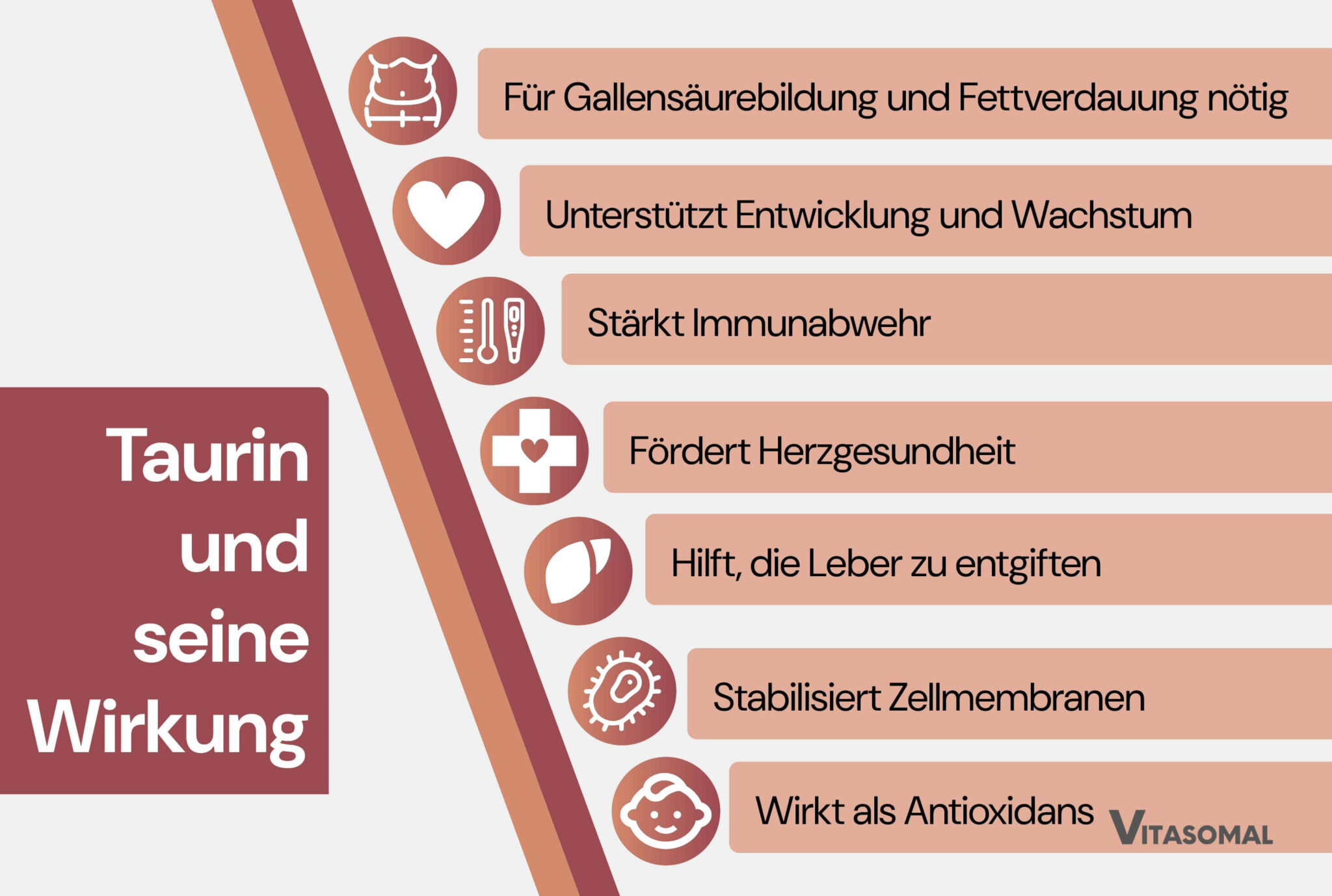 Taurin: Wirkung, Mangel & Dosierung für mehr Energie!